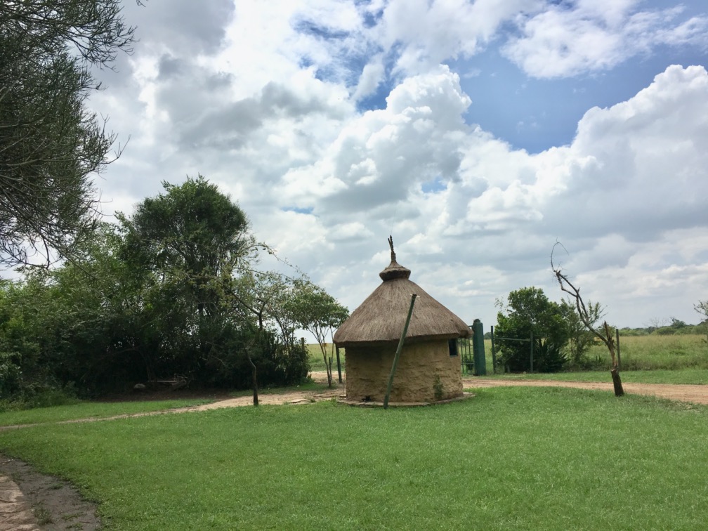Mara Intrepids Camp – accidental goddess